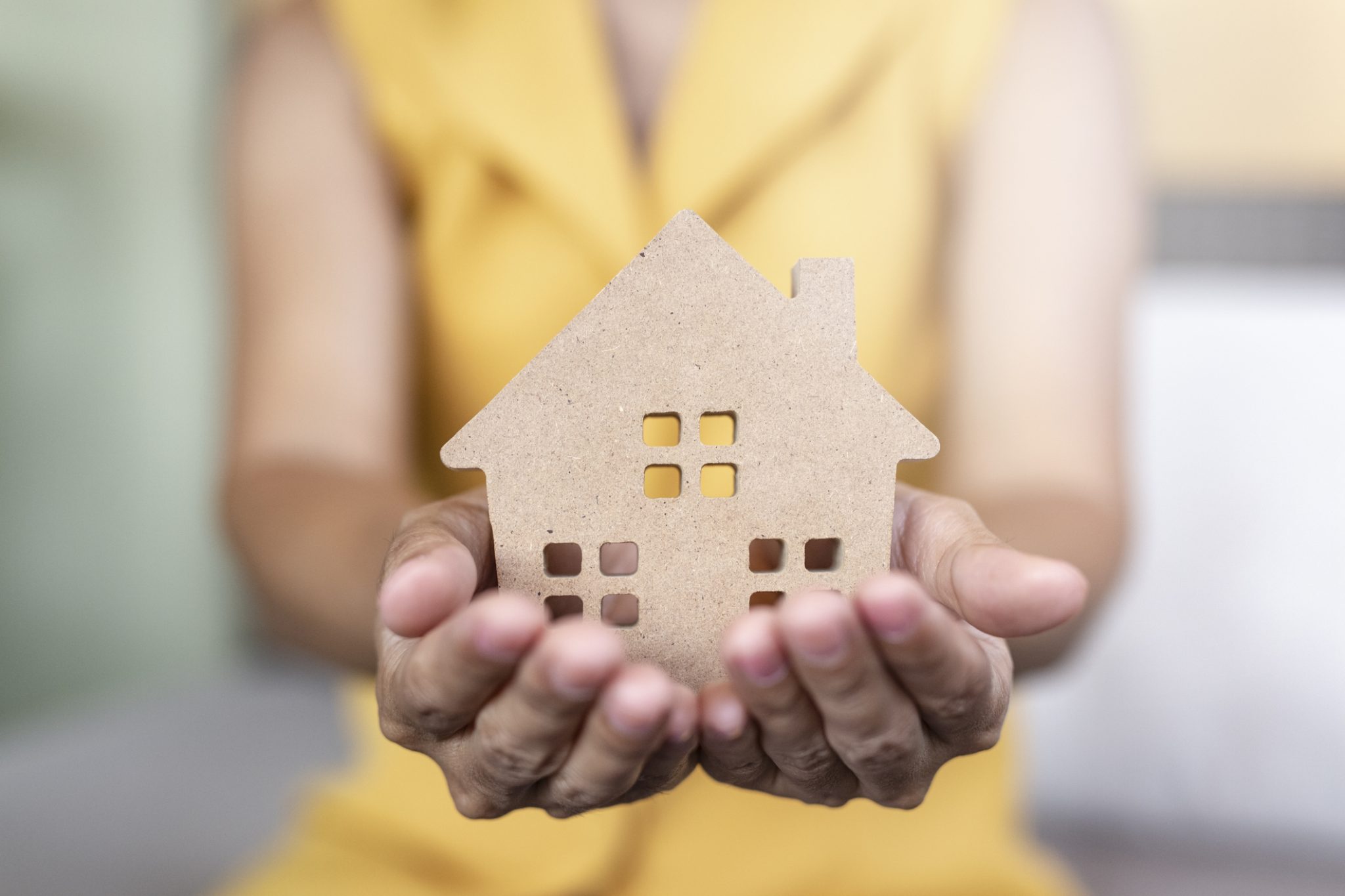 Who Owns the Property in a Life Estate? | The Werner Law Firm, PC